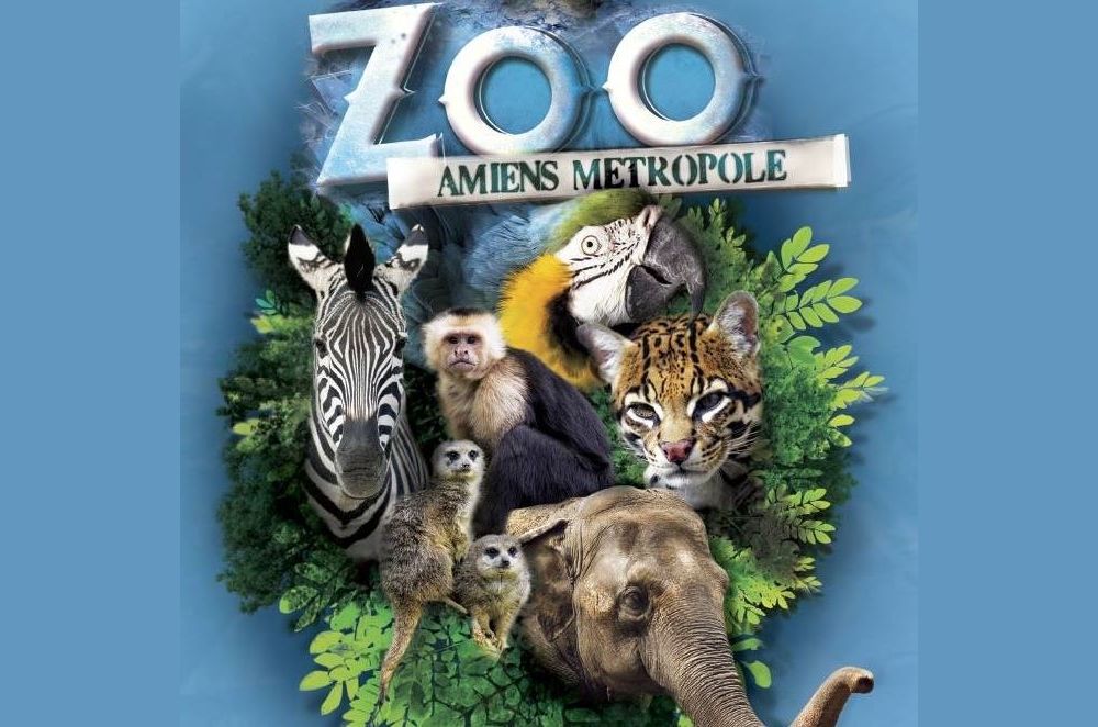 EVASION - Le parc zoologique d'Amiens prend des vacances après une ...